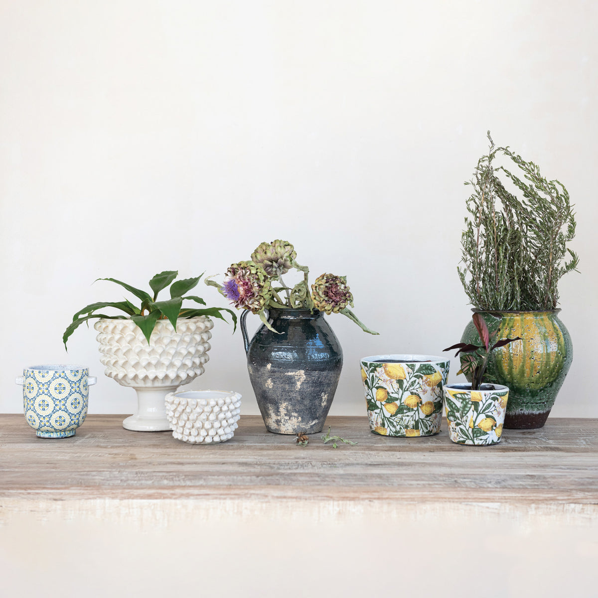 3D Cream Stoneware 5" Planter – Botanica Modern Market